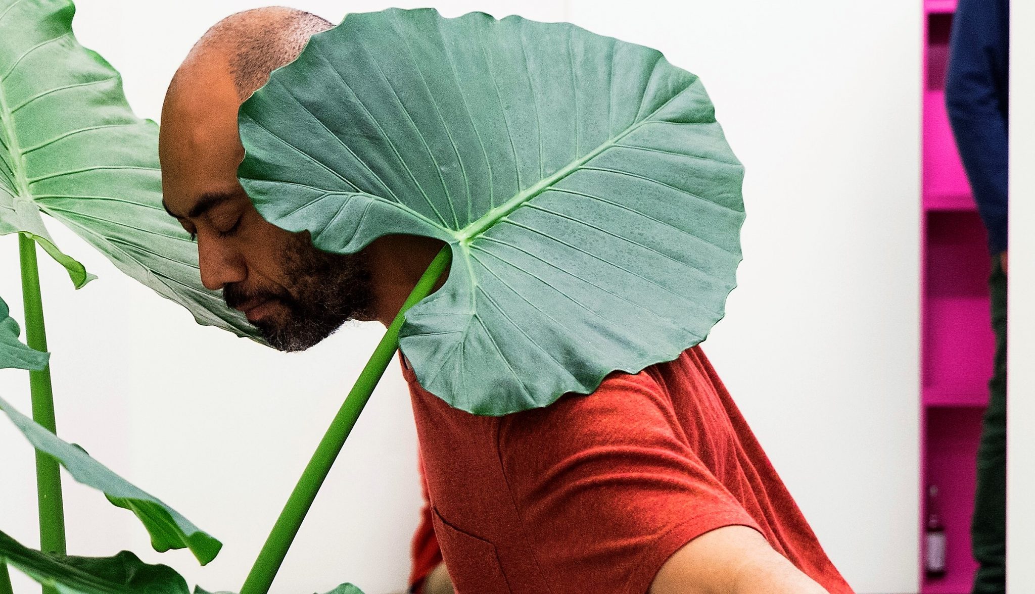 Starters at Blacktown Arts Centre - Critical Path